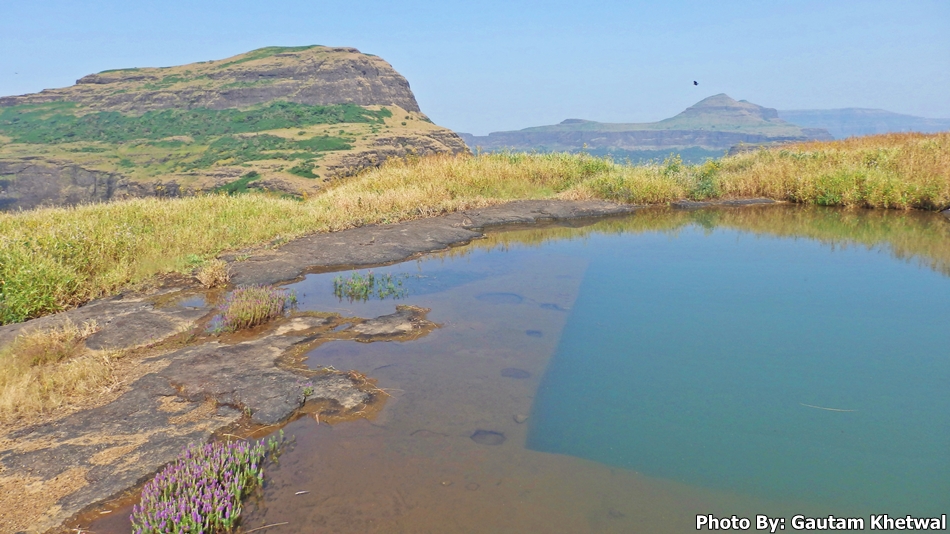 Treks around Thane and Mumbai: Harihar Fort Trek, Trimbak, Maharashtra