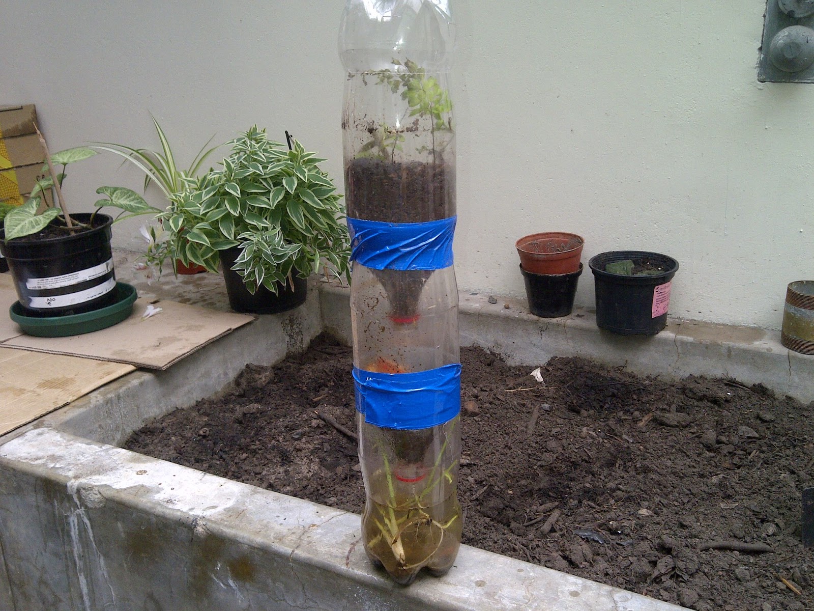 Keagan, Leo, alex eco-column : March 2013