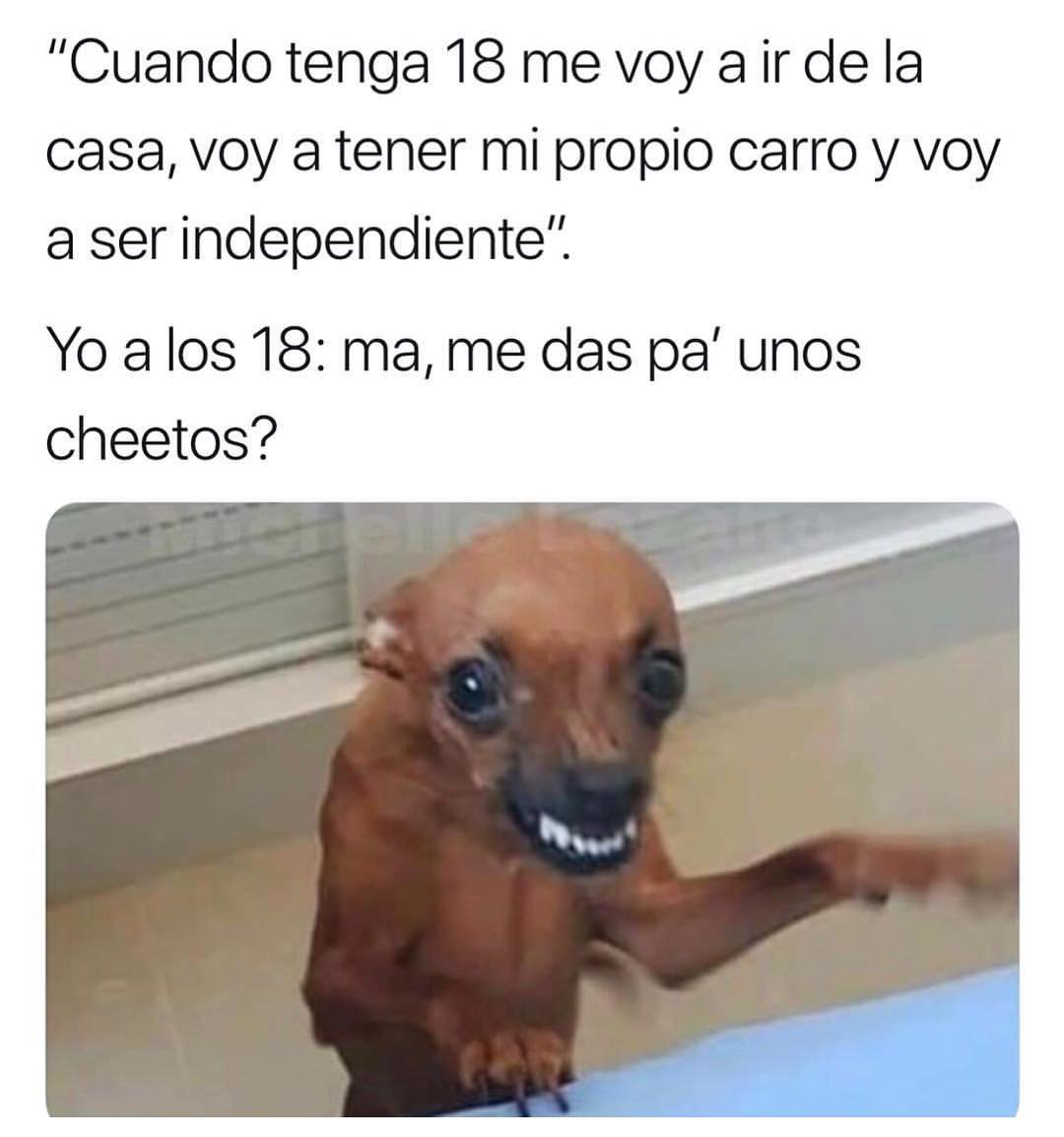 Memes Divertidos y chistes: memes divertidos