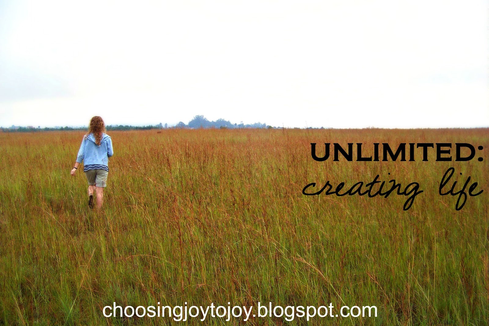 choosing joy to joy : Unlimited: Creating Life