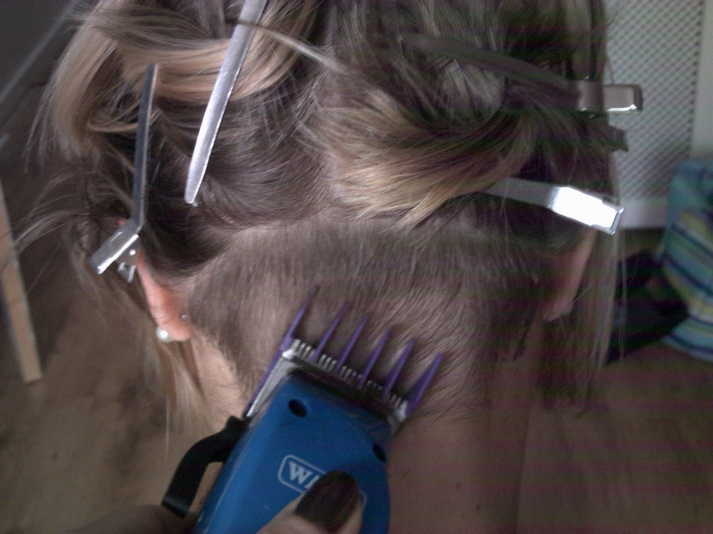 The Pixie Revolution: Getting Clippered