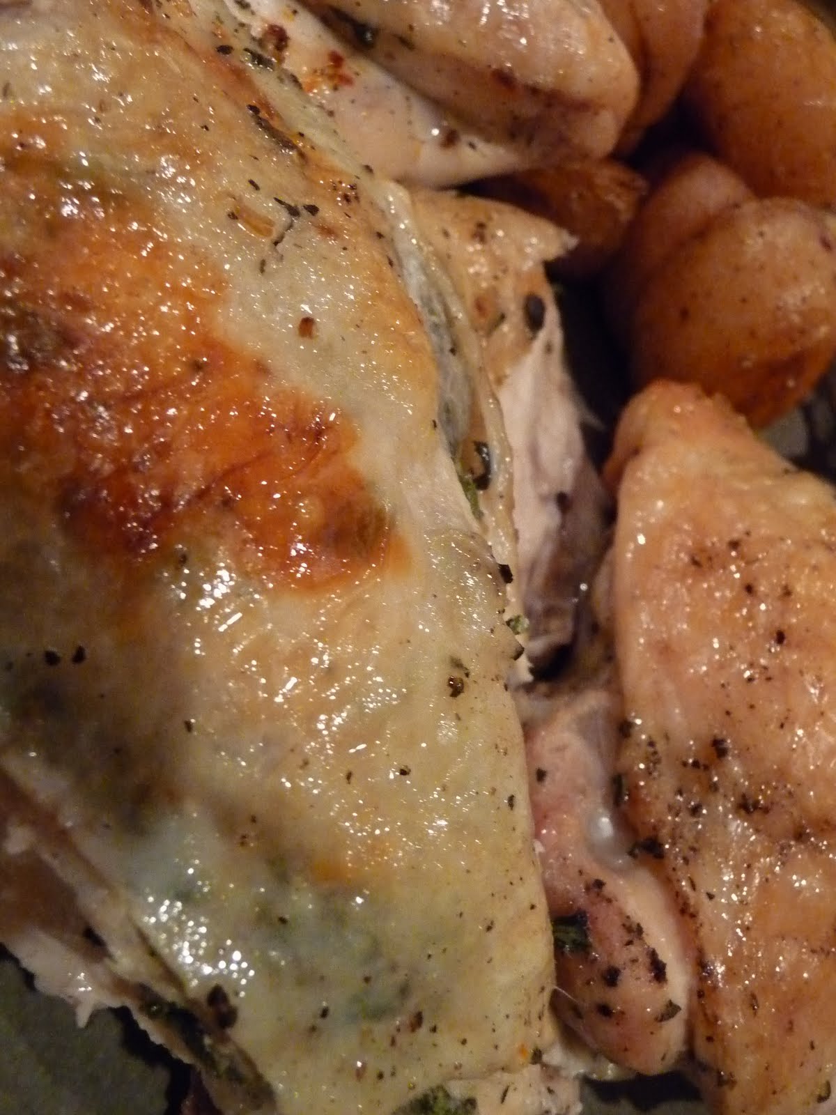 Chef Bolek: Pollo al Mattone (Chicken Grilled under a Brick)