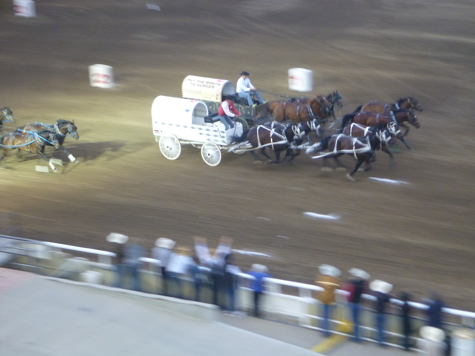 Live and Let Ride: 12. The Calgary Stampede