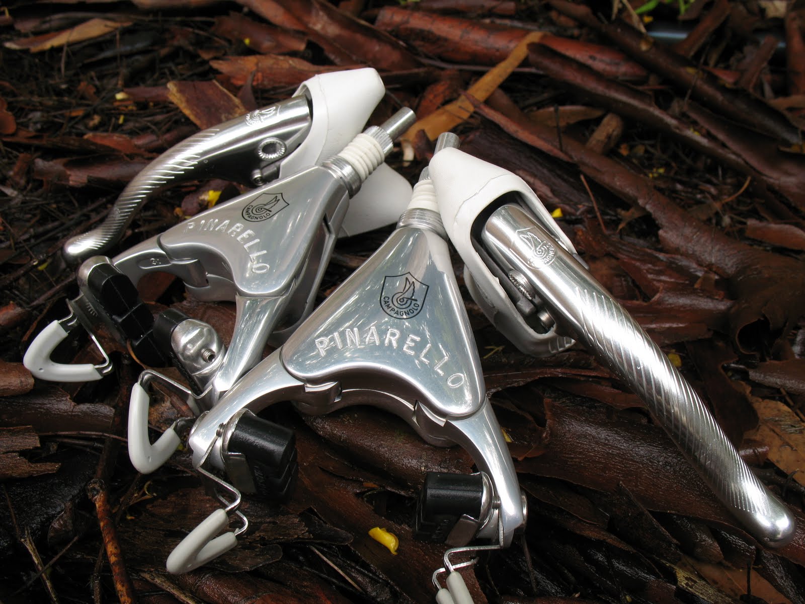 campagnolo delta brakes: Pinarello deltas