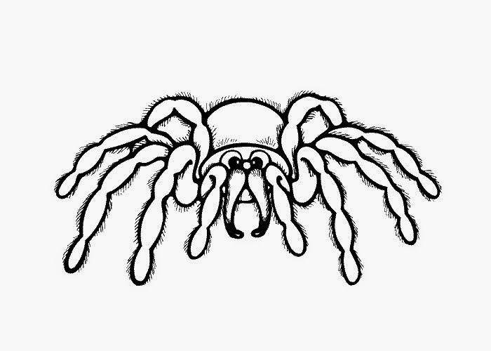 Spider coloring pages | Free Coloring Pages and Coloring Books for Kids