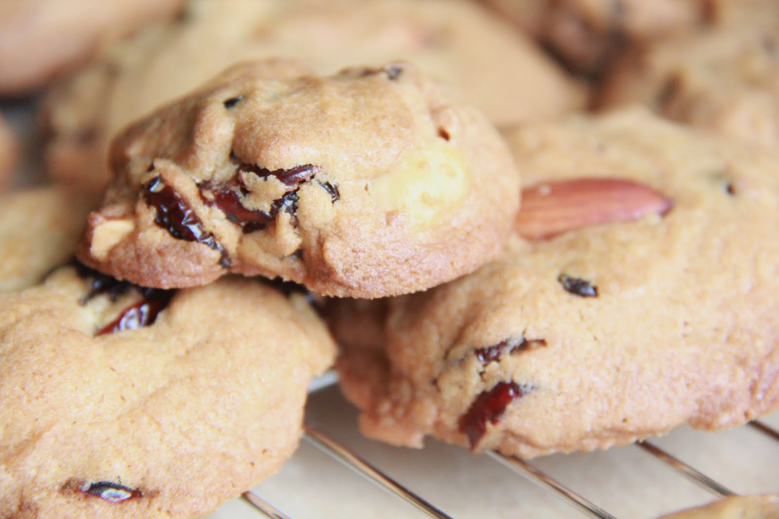 Simple Indulgence: Cranberry Chocolate Nuts Cookies