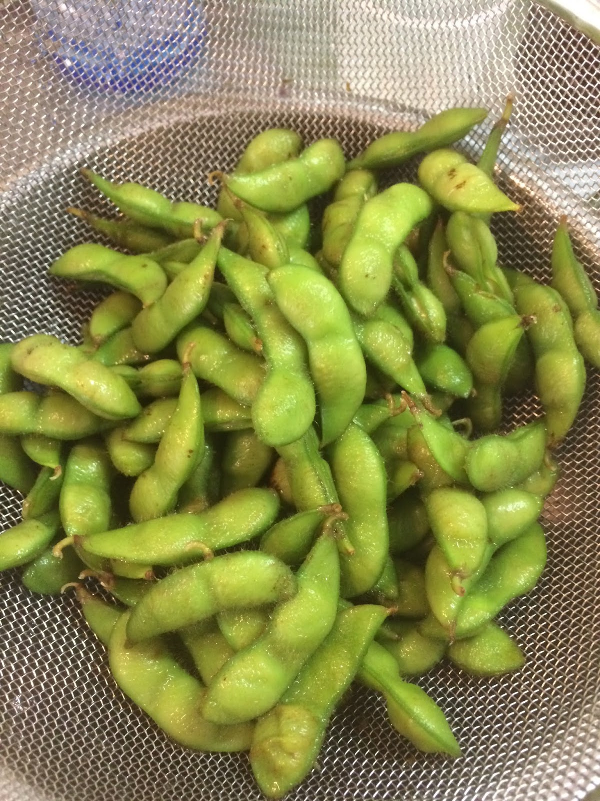 Our Adventures in Japan: dadacha mame