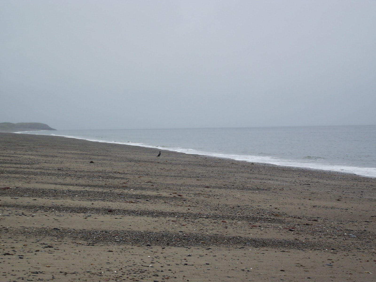 Right of the Land: The Walk