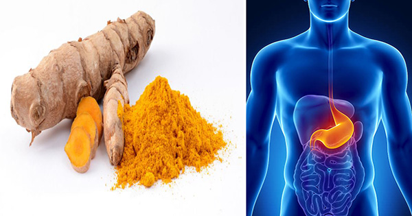 Medicinal Plants Health Guide: 10 Health Benefits of Luyang Dilaw To ...