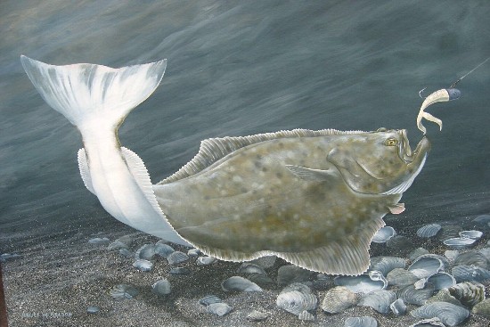 Artes de Pesca: VAMOS A PESCAR HALIBUT DEL PACIFICO