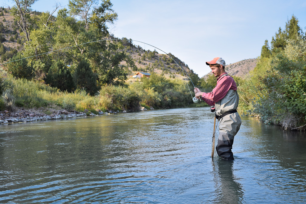 The Far Bank: Early Fall Fly Fishing on the Ruby River, MT