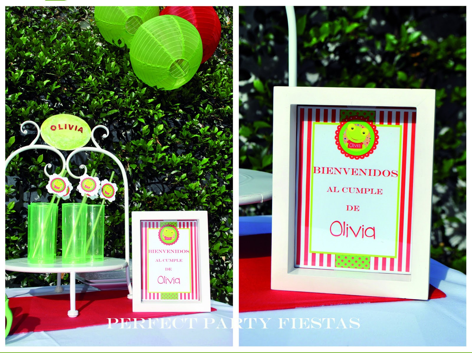 Perfect Party: Fiesta temática del Sapo Pepe - Garden Party