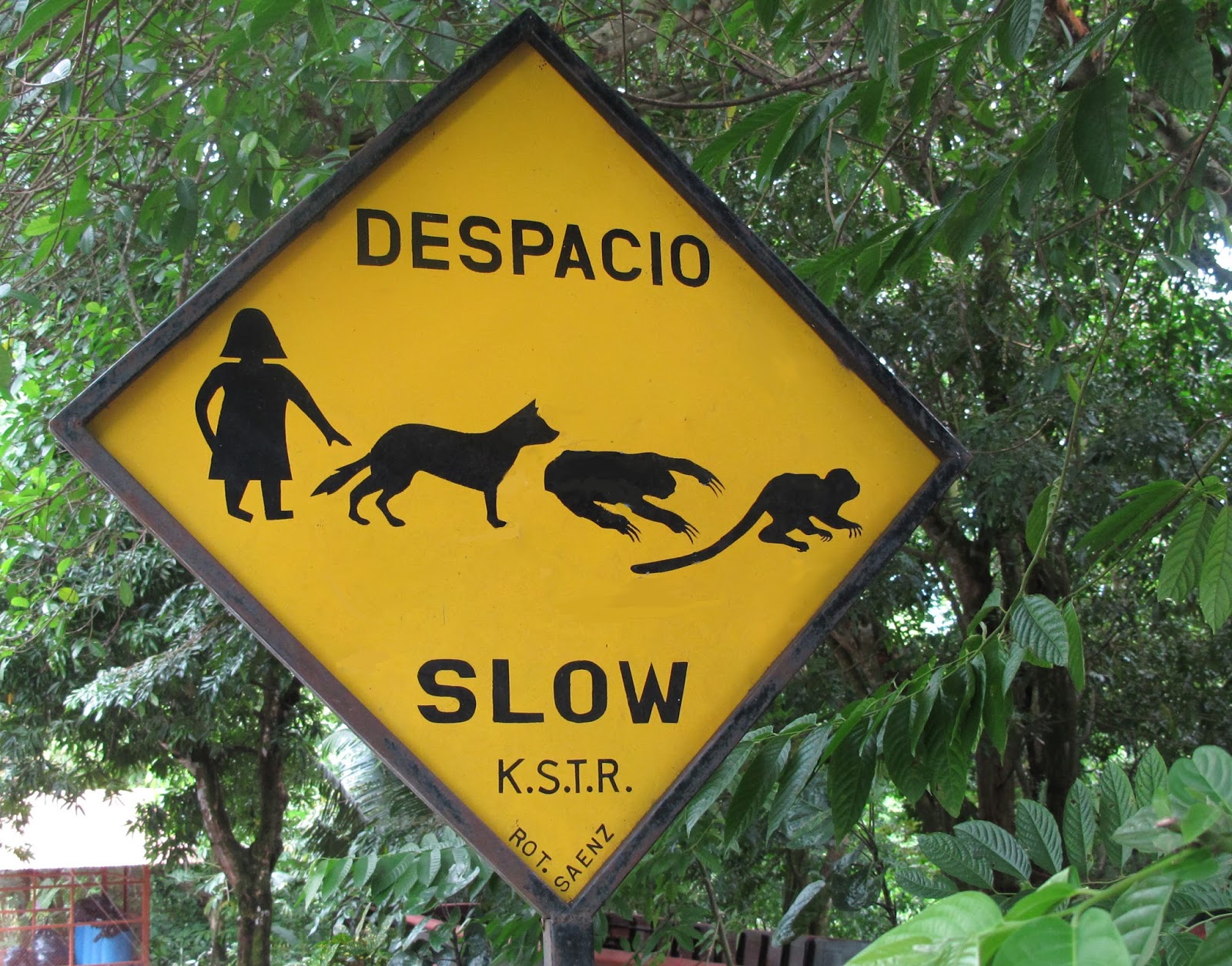 Dragonfly Wars: Despacio