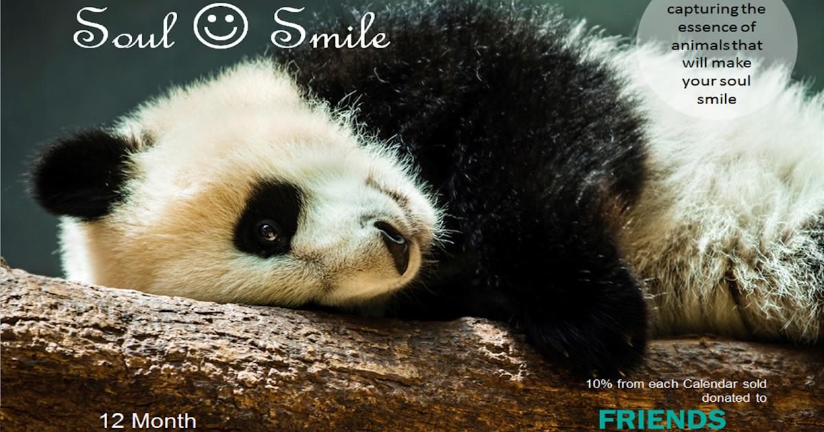 The Healthy Hoff: Soul :) Smile 12 Month Customizable Calendar