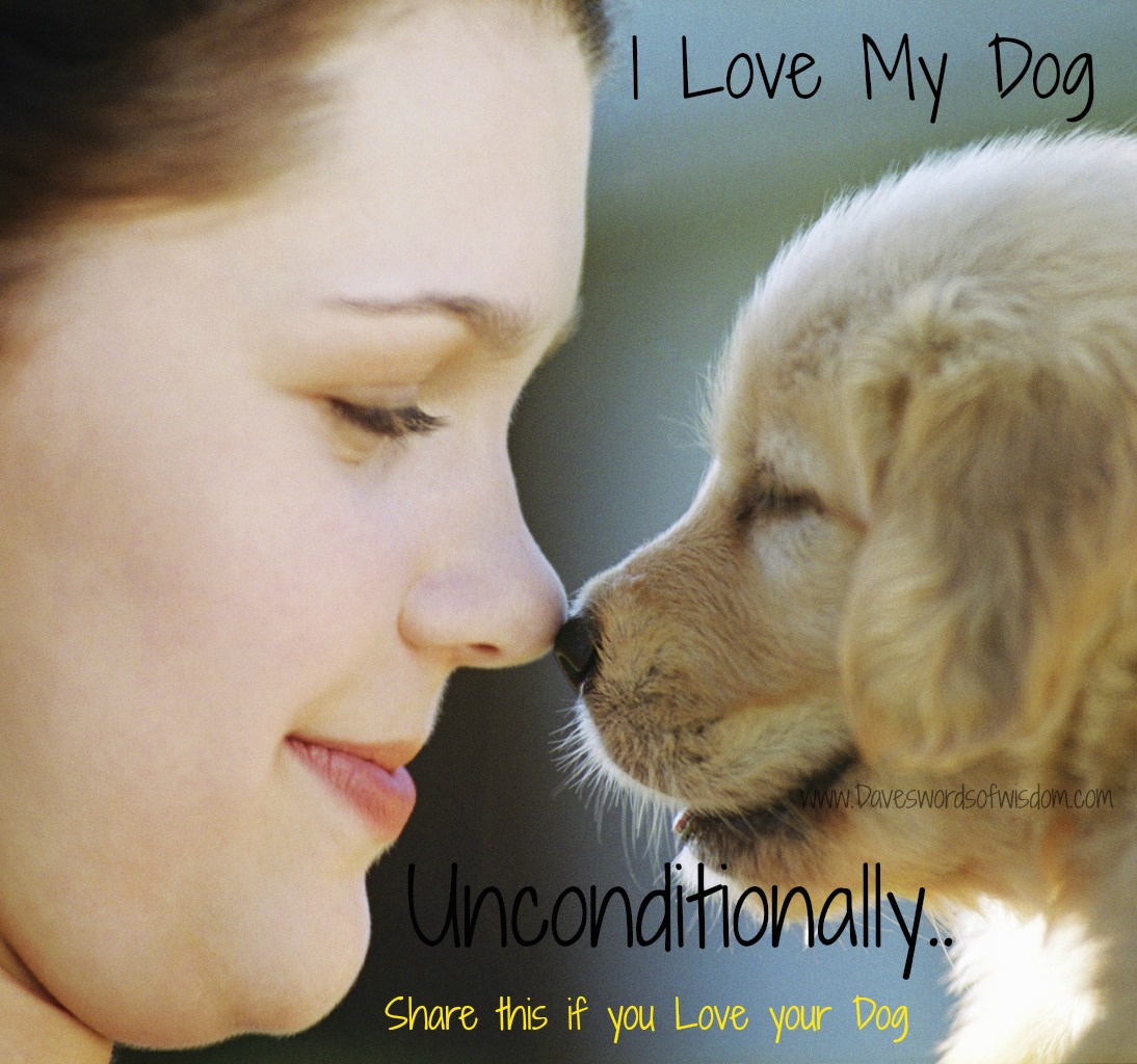 Daveswordsofwisdom.com: I Love My Dog Unconditionally