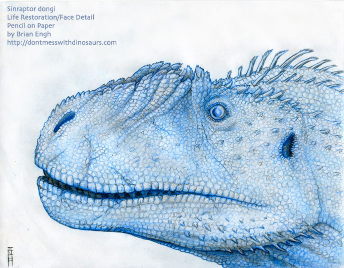 Extinct Animal of the Week: The Faces of Sinraptor