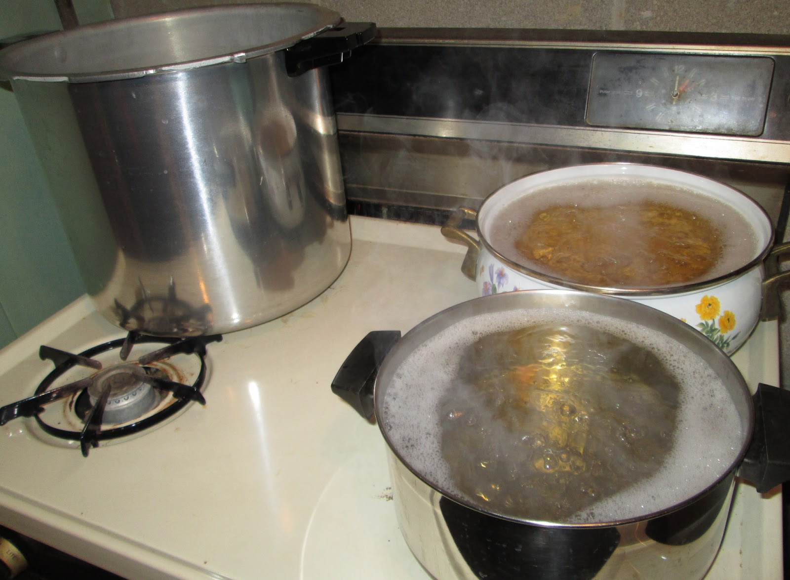 One In A Mel'lion: Make your own Maple Syrup!!
