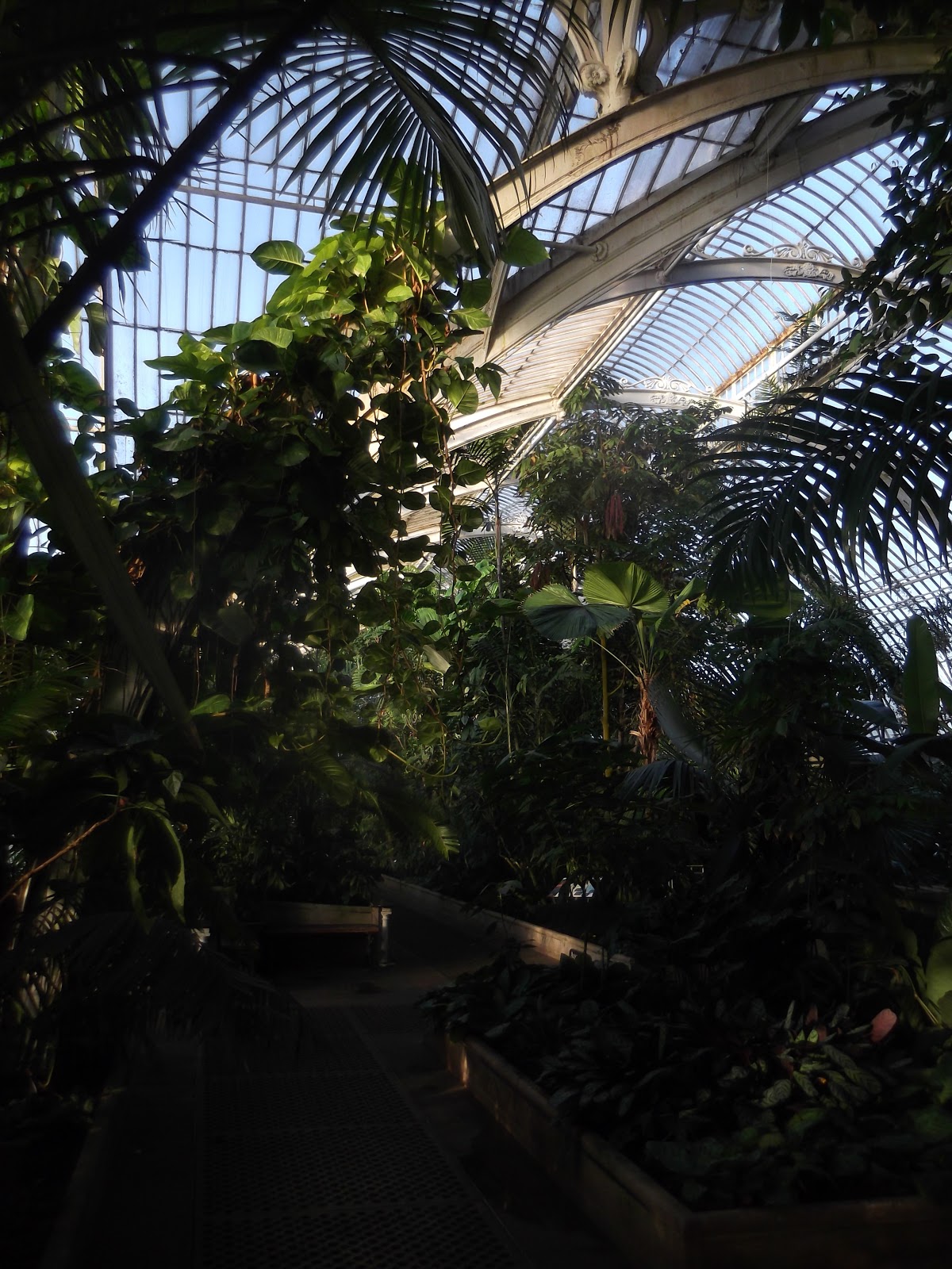 What ho Kew!: Palm House