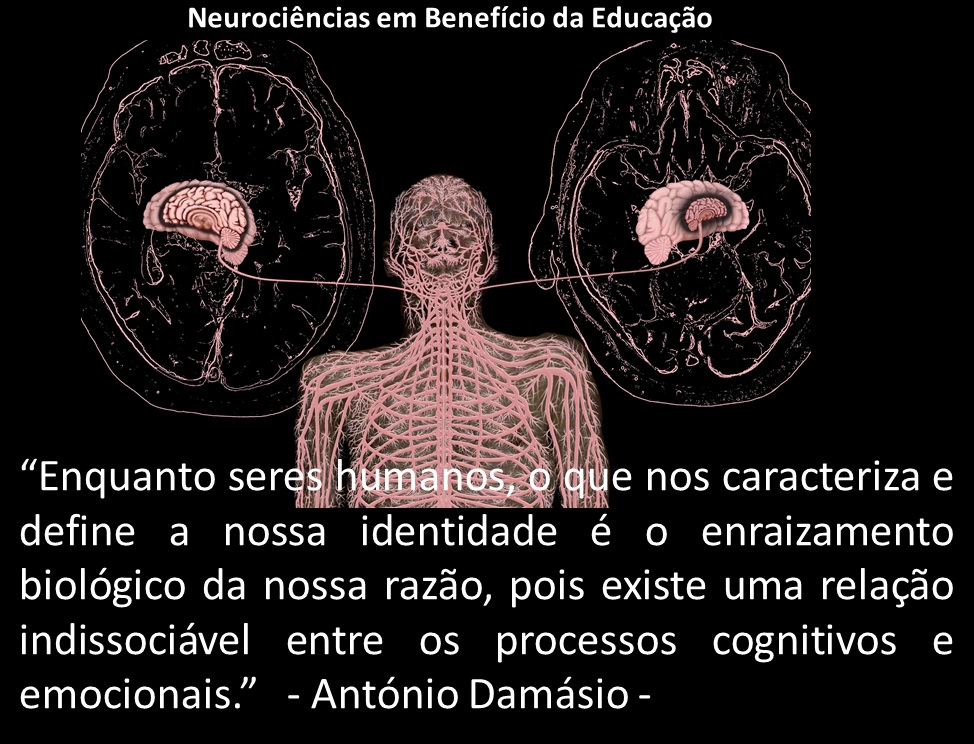Neuropsicopedagogia na sala de aula: O caso "Elliot"