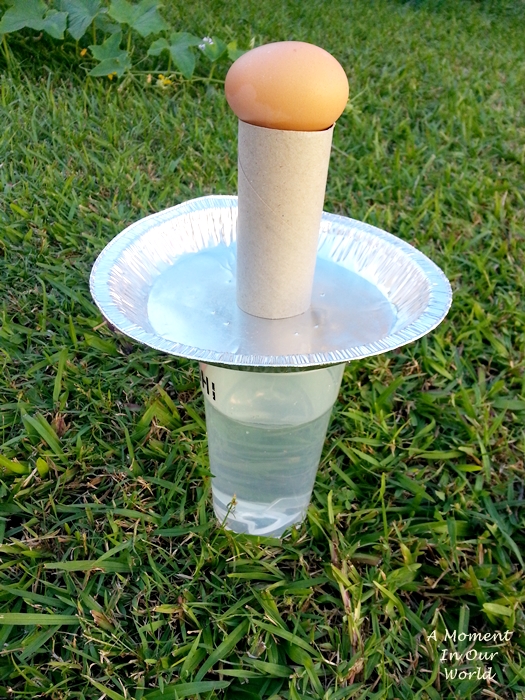 Egg Inertia (Amazing Egg) Science Experiment - Simple Living. Creative ...