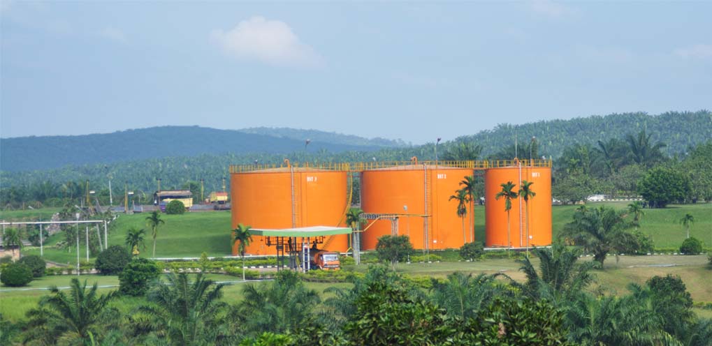 PT Triputra Agro Persada