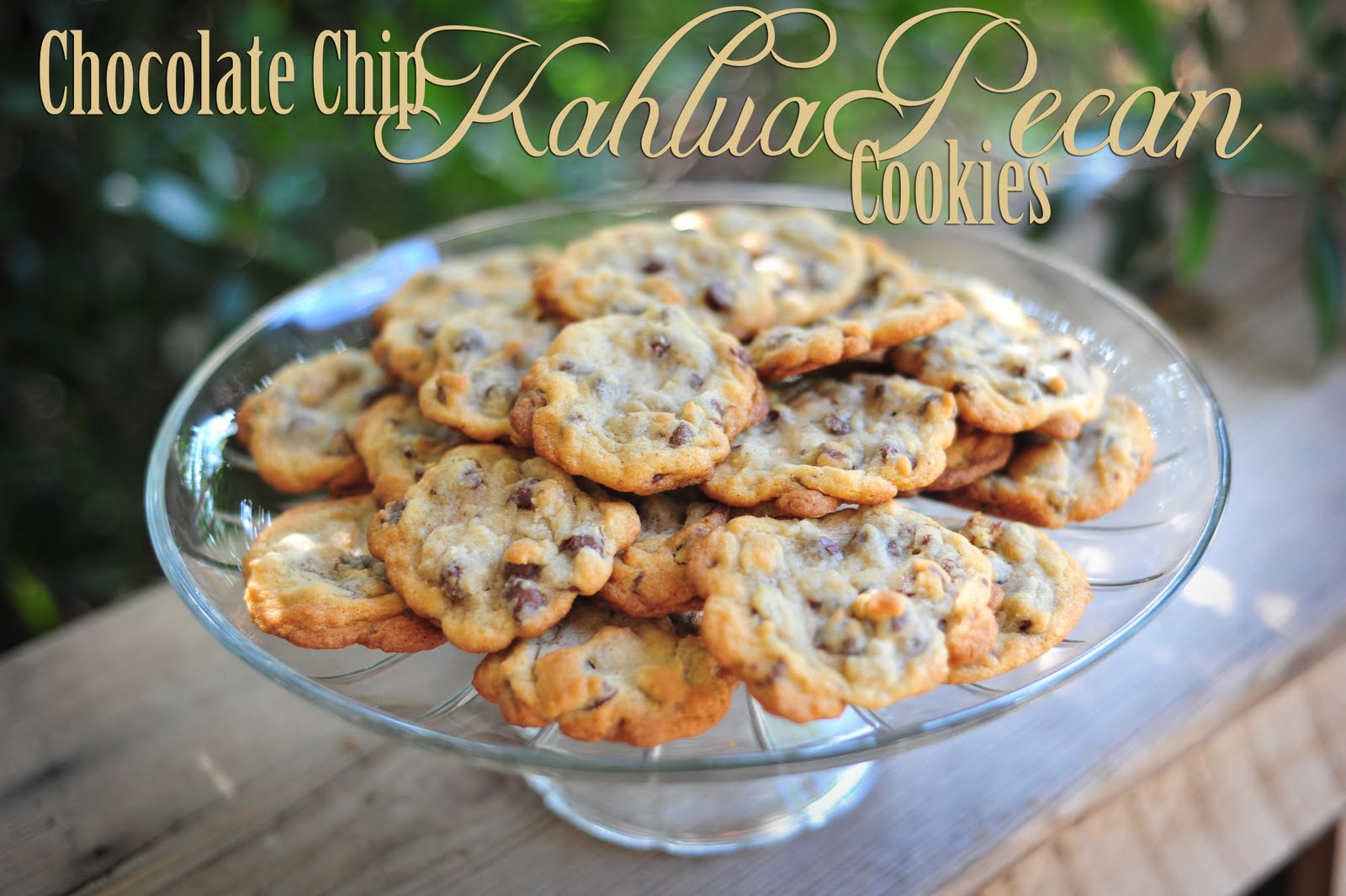 The Gridiron Girl's Guide to the Good Life: Chocolate Chip Kahlua Pecan ...