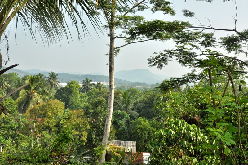 philipveerasingam: Scenes from the 'Maniccawaththe Pansala ...