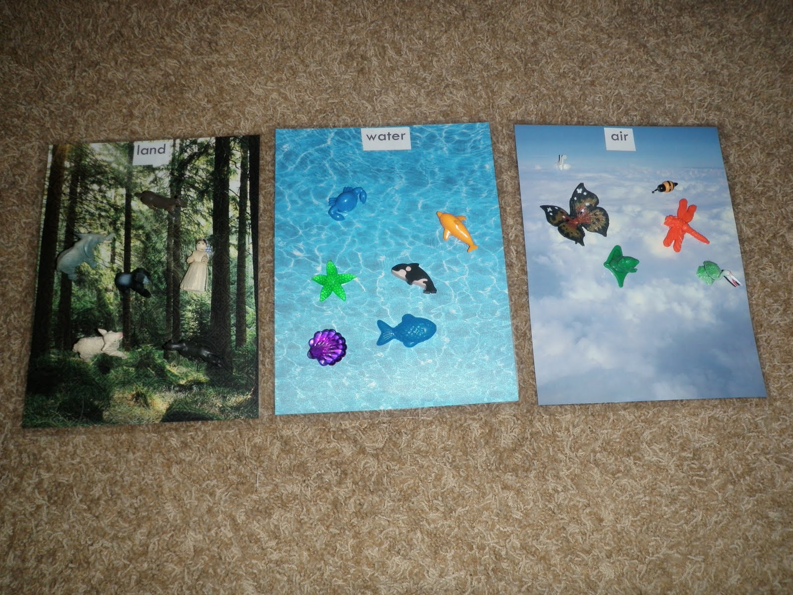 Montessori Design: Land Water Air Sorting
