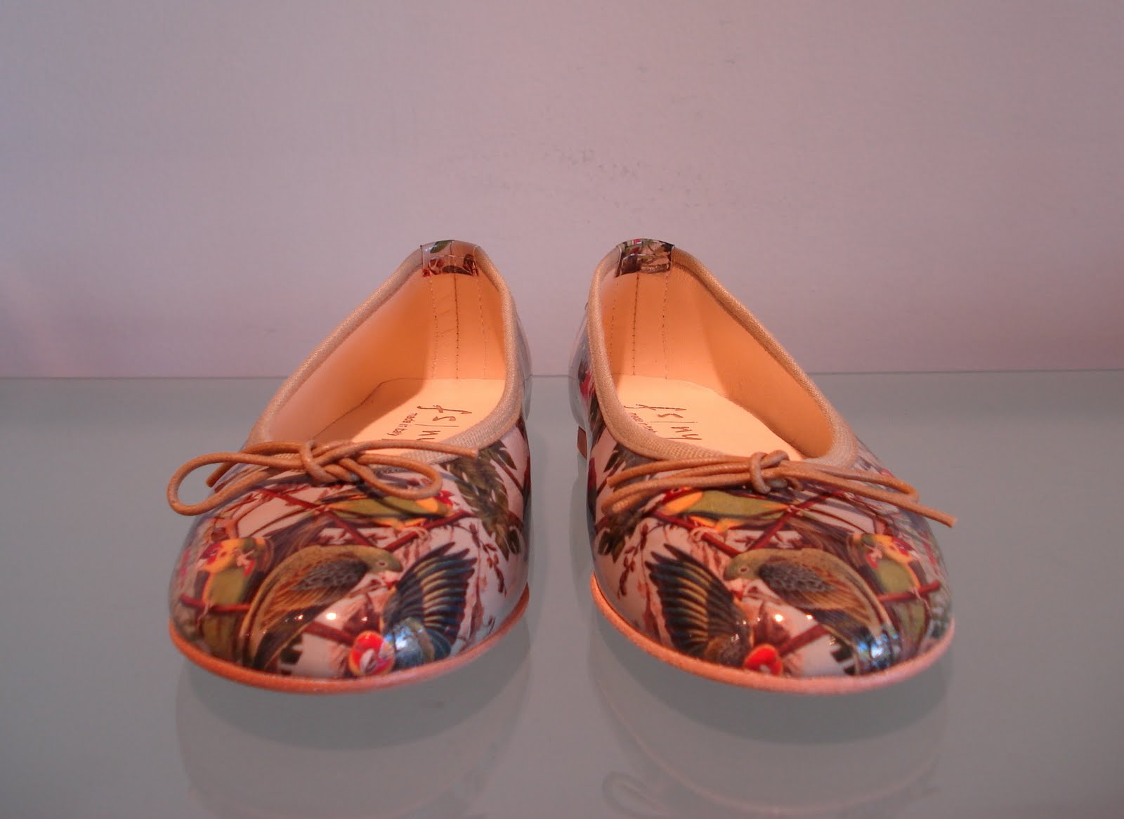 Kiwi's Angels: French Sole Parrot Shoes