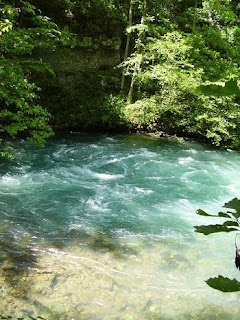 My Williams Family History: The History of the Greer Mill, Oregon ...