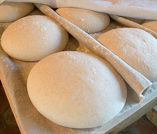 Le Fournil de l'Auxois: Panification