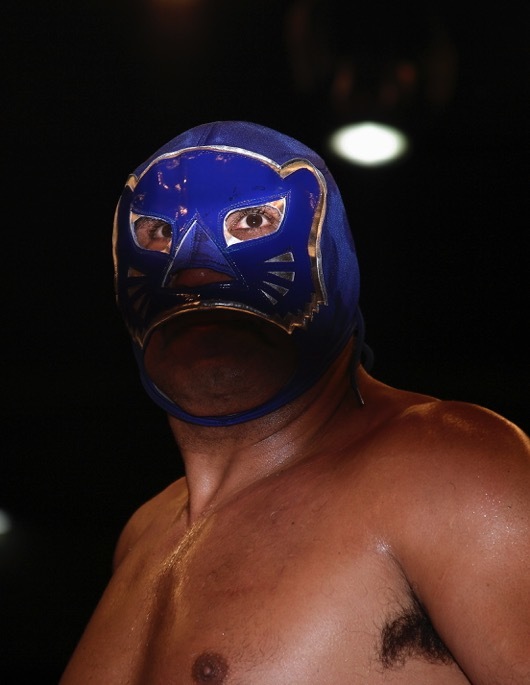 Blue Panther. Los fantásticos triunfos