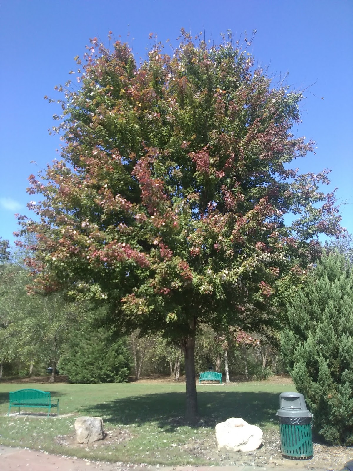 Visit to Helen, Georgia Fall 2017-Dreevaytours