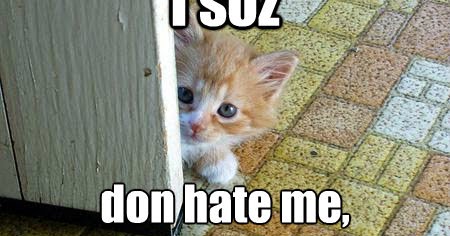 soz の意味・用法・例文-英語ネットスラング辞典