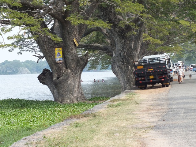 Images of Sri Lanka on blogspot.com: Tissa Wewa, Tissa, Sri Lanka.