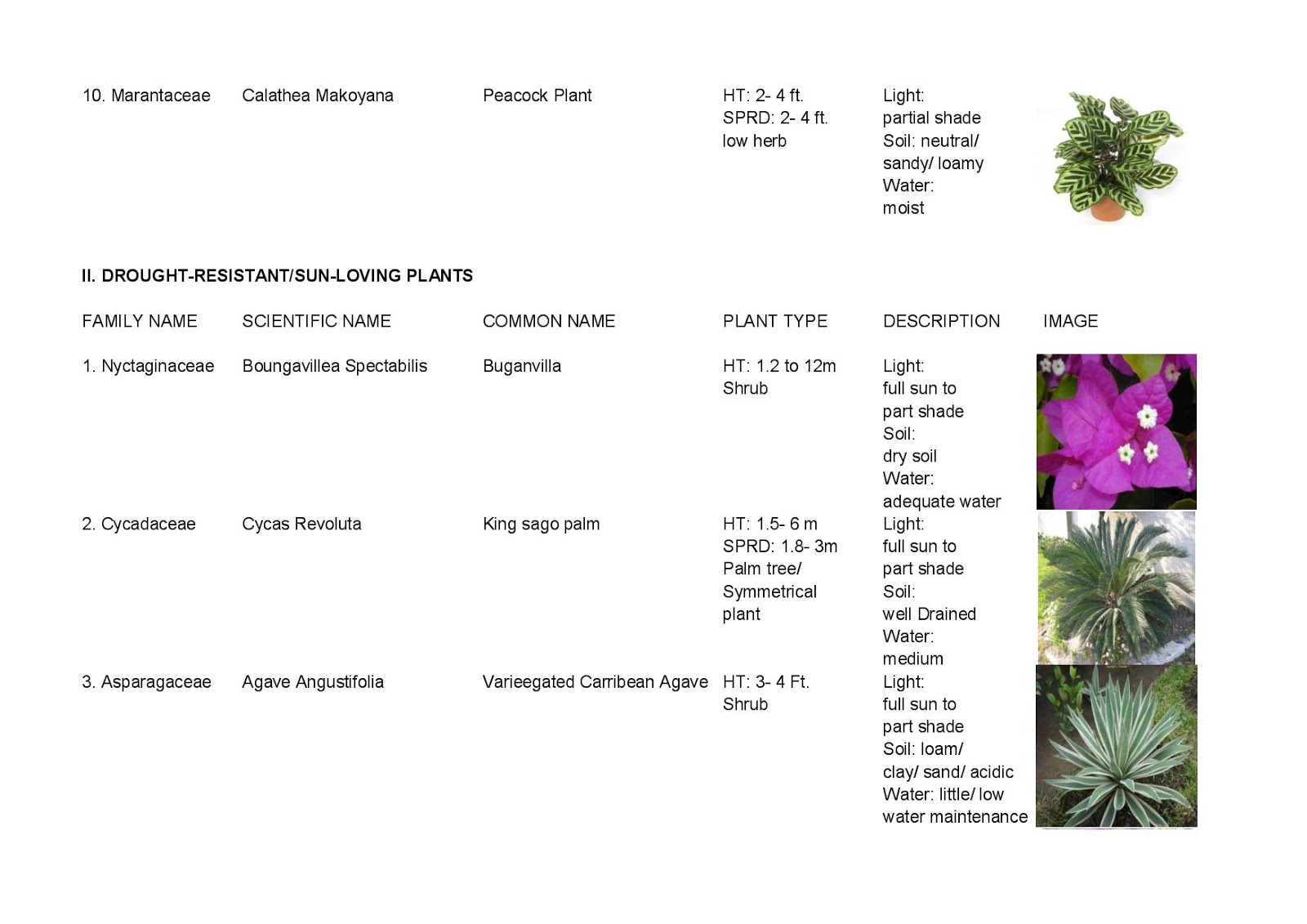 Softscape Materials: Plant List 1