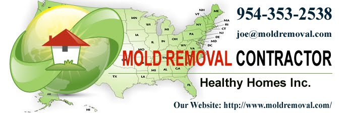 Mold Removal Services Chicago