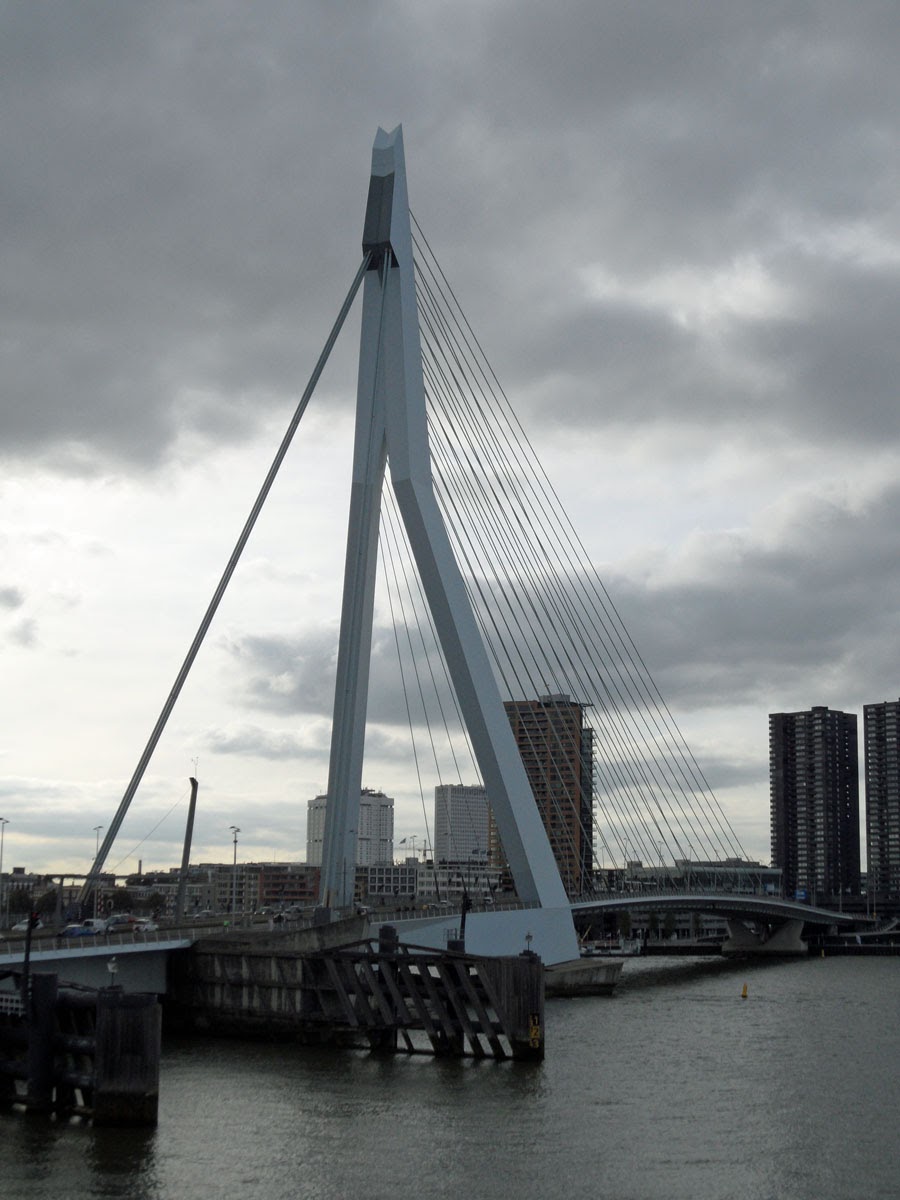 The Happy Pontist: Rotterdam Bridges: 1. Erasmus Bridge