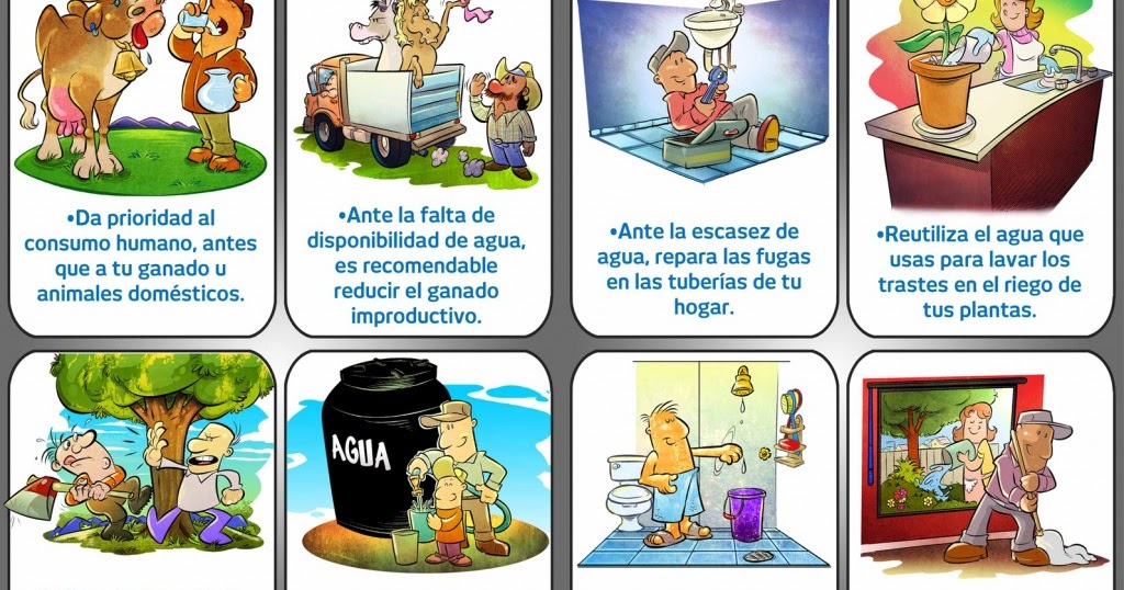 Conservación del Medio Ambiente