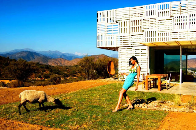 Shipping Container Homes & Buildings: Shipping Container House with ...