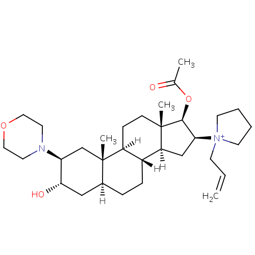 Pharmacology Of Rocuronium