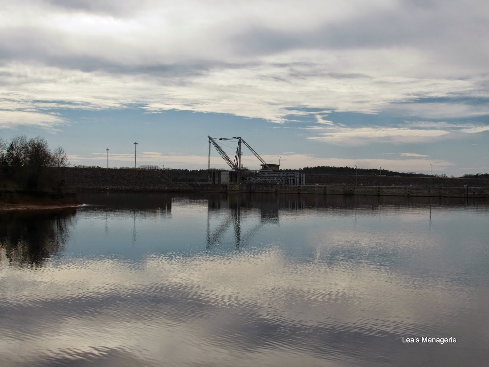 Lea's Menagerie: Bay Springs Lock and Dam, January 22-23, 2015