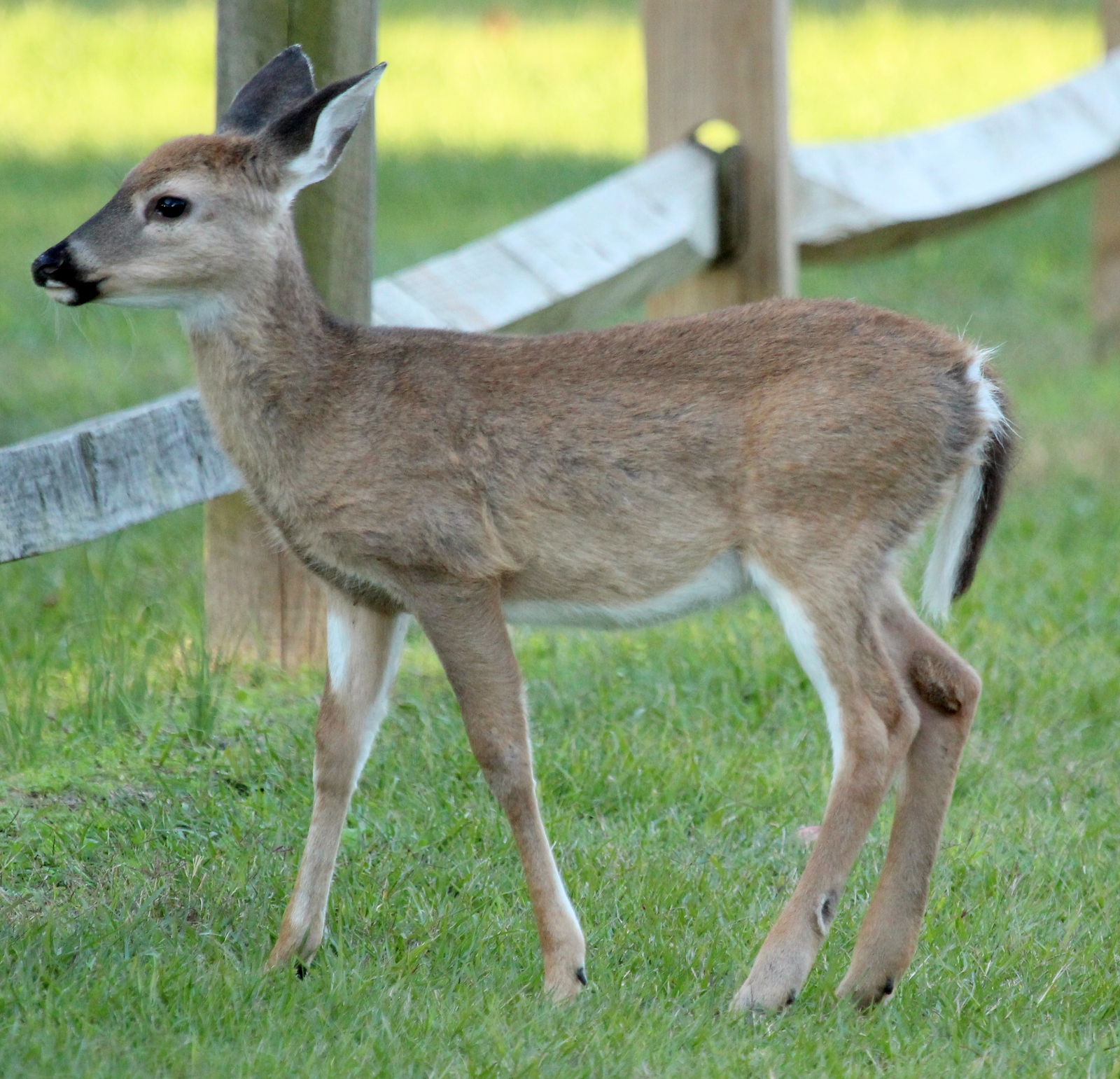 Beth's Blog: A New Setting for a Stroll