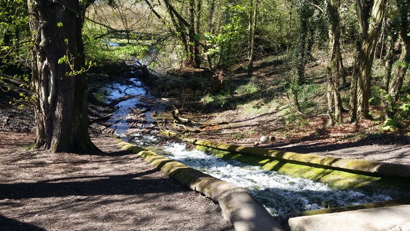 Lucy's Wednesday walks: Himley to Baggeridge - a popular Black Country walk
