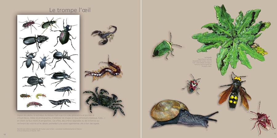 Animalia: Hyper Nature, de Philippe Martin