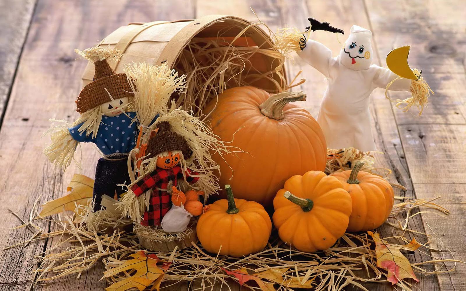 Nature Photography | Married with 'Opera'