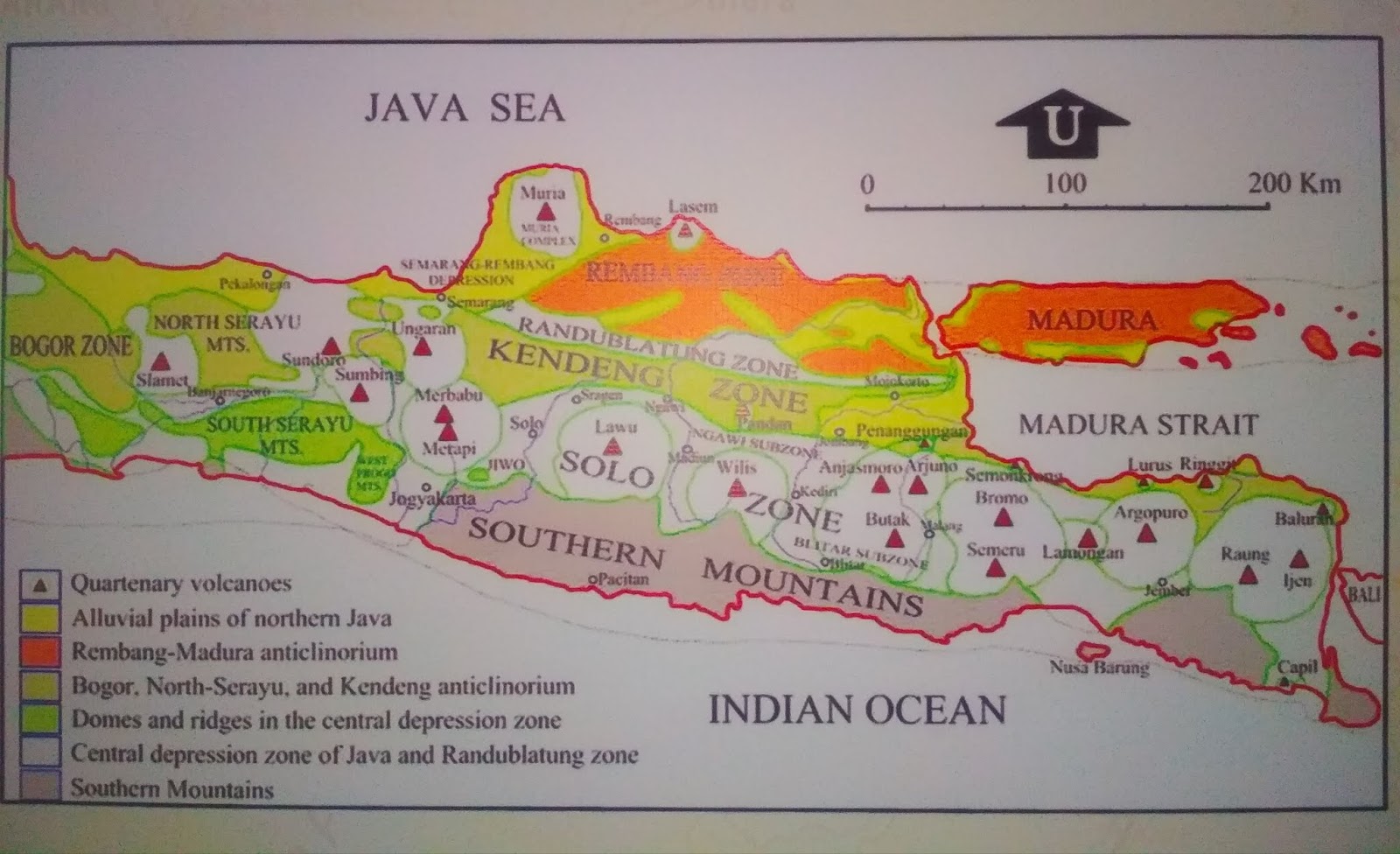 Proses Terbentuknya Pulau Jawa Dikupas Tuntas Didalam Museum History Of ...