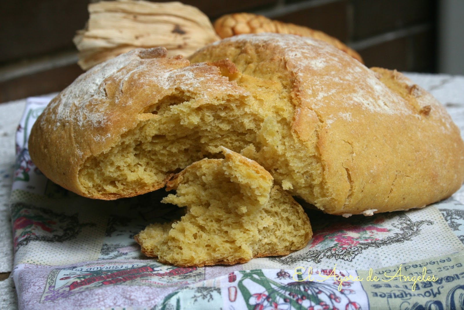 PAN DE MAÍZ | El Ágora de Ángeles