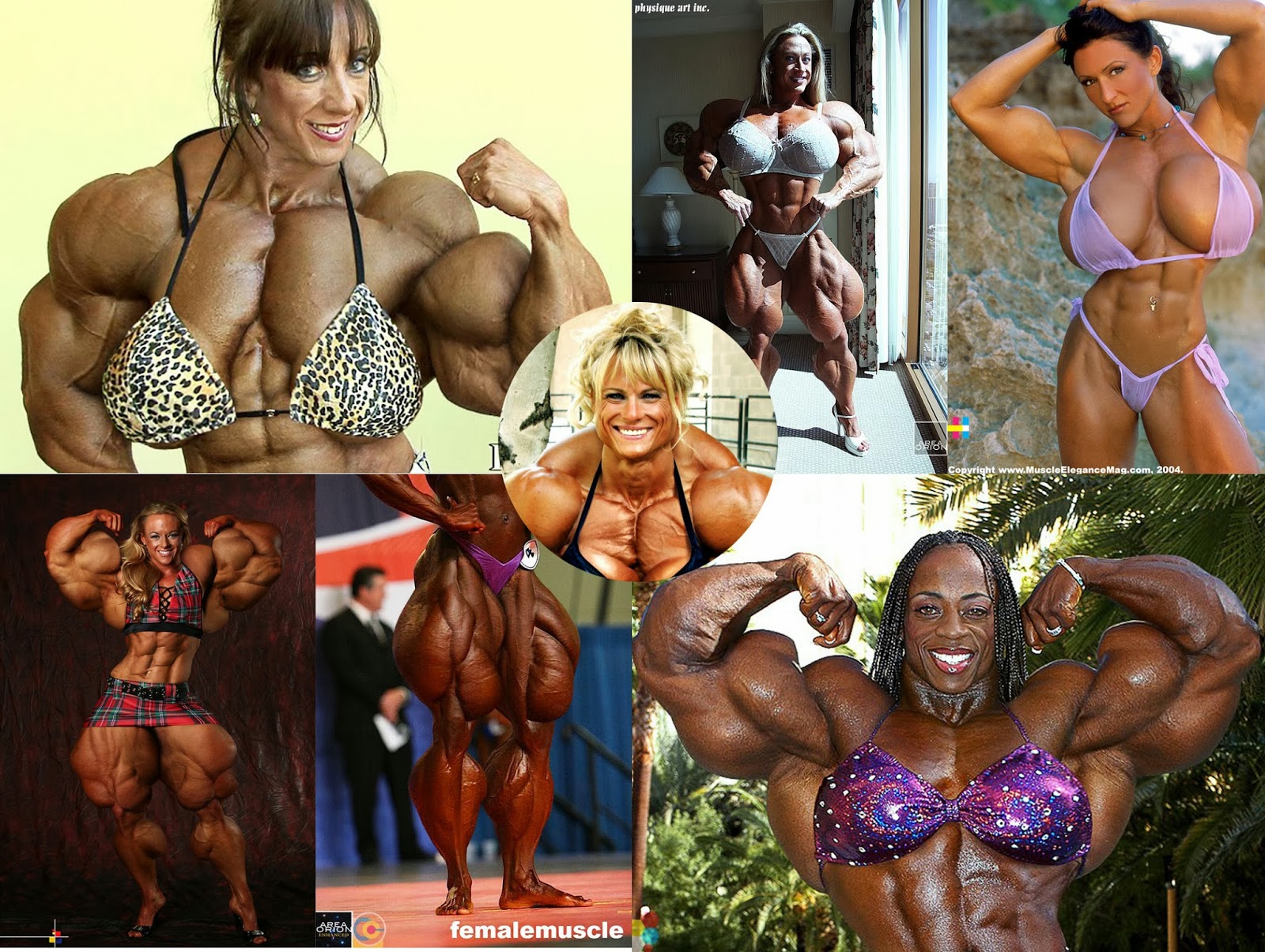 Area Orion: Orionstein