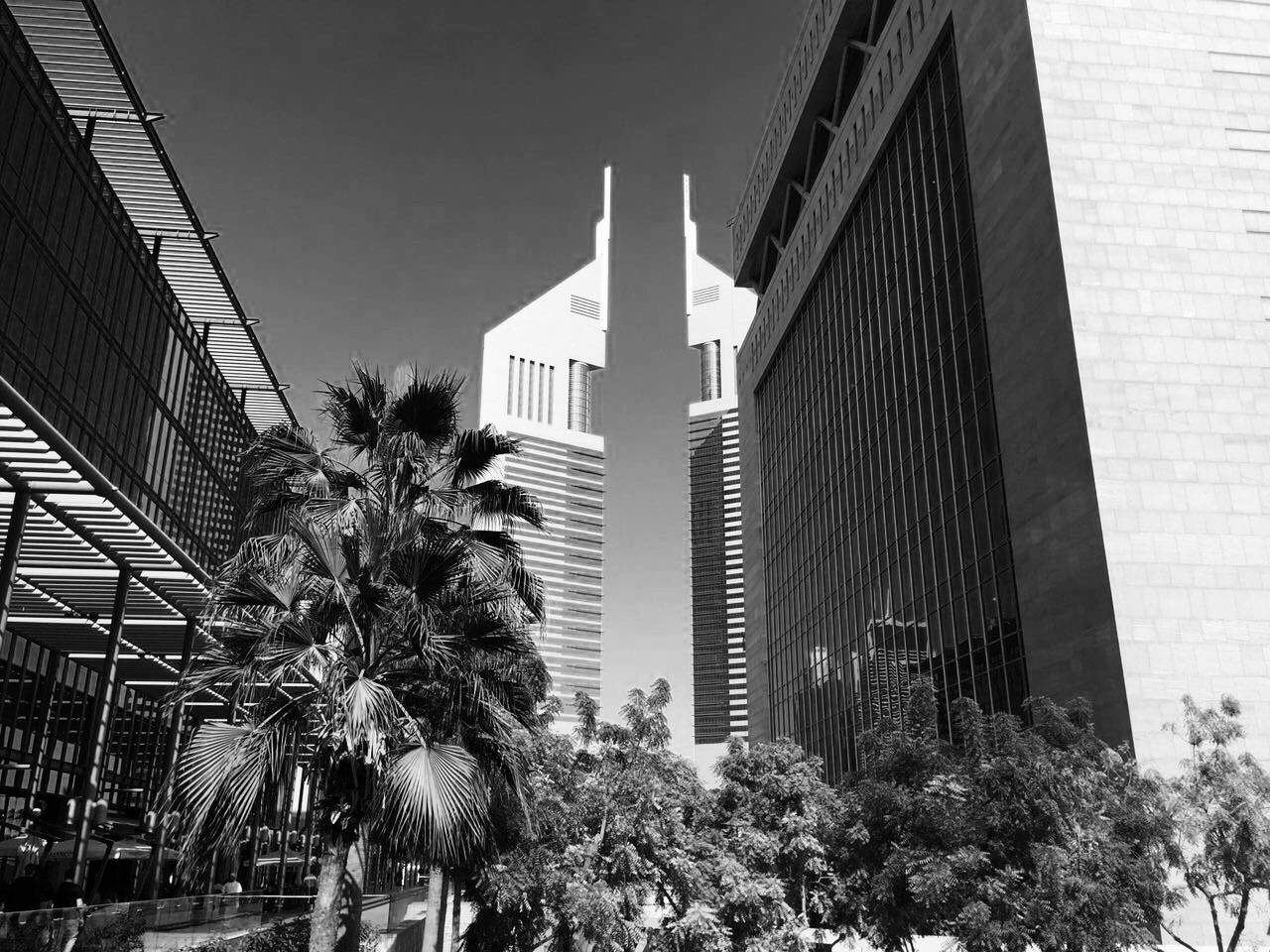 HOLT consultancy: Compliance Culture - DFSA Authorised Firms